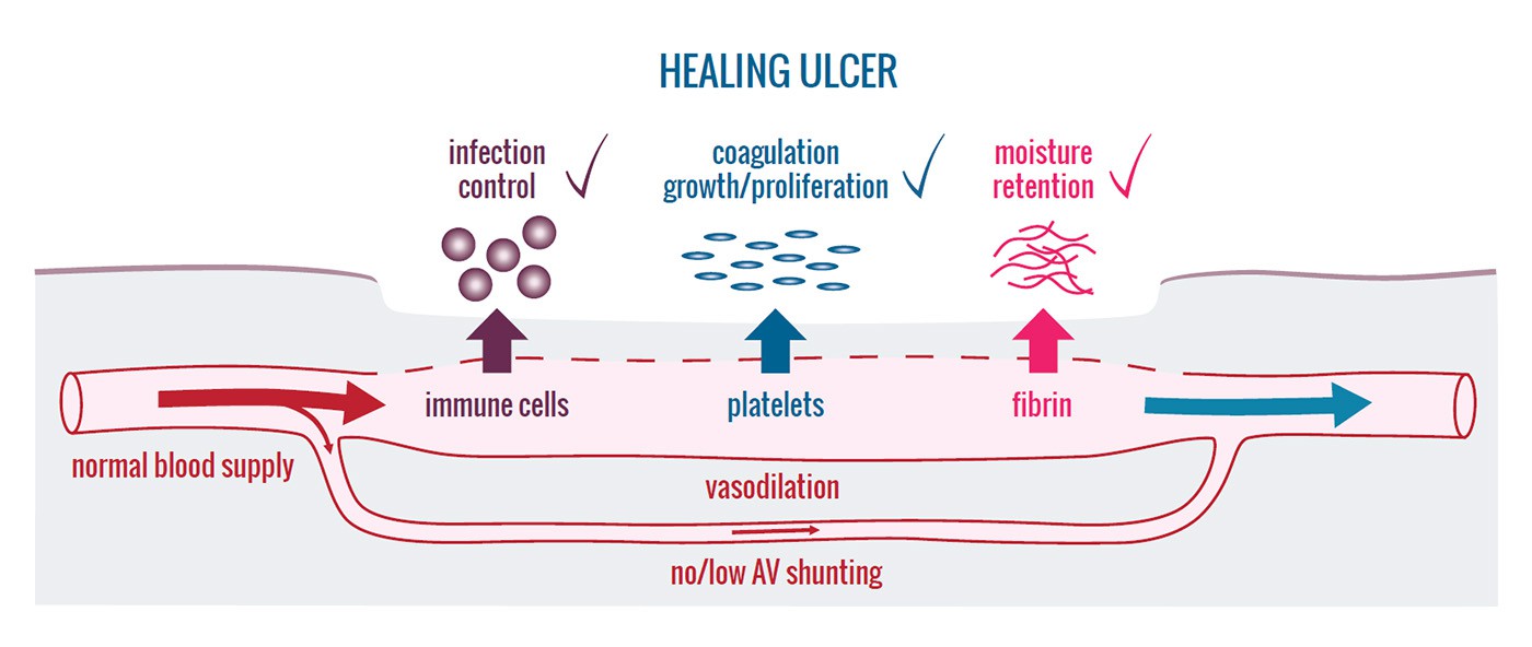 Leucopatch - Mediafarm